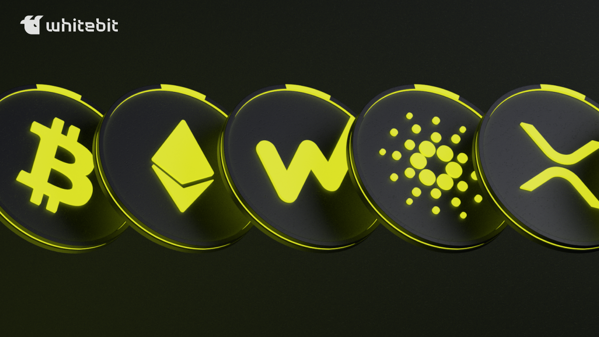 What Is Crypto And How Does It Work ? | WhiteBIT.Blog