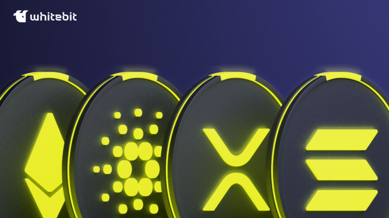 What is a Shitcoin And How to Identify It? | WhiteBIT Blog