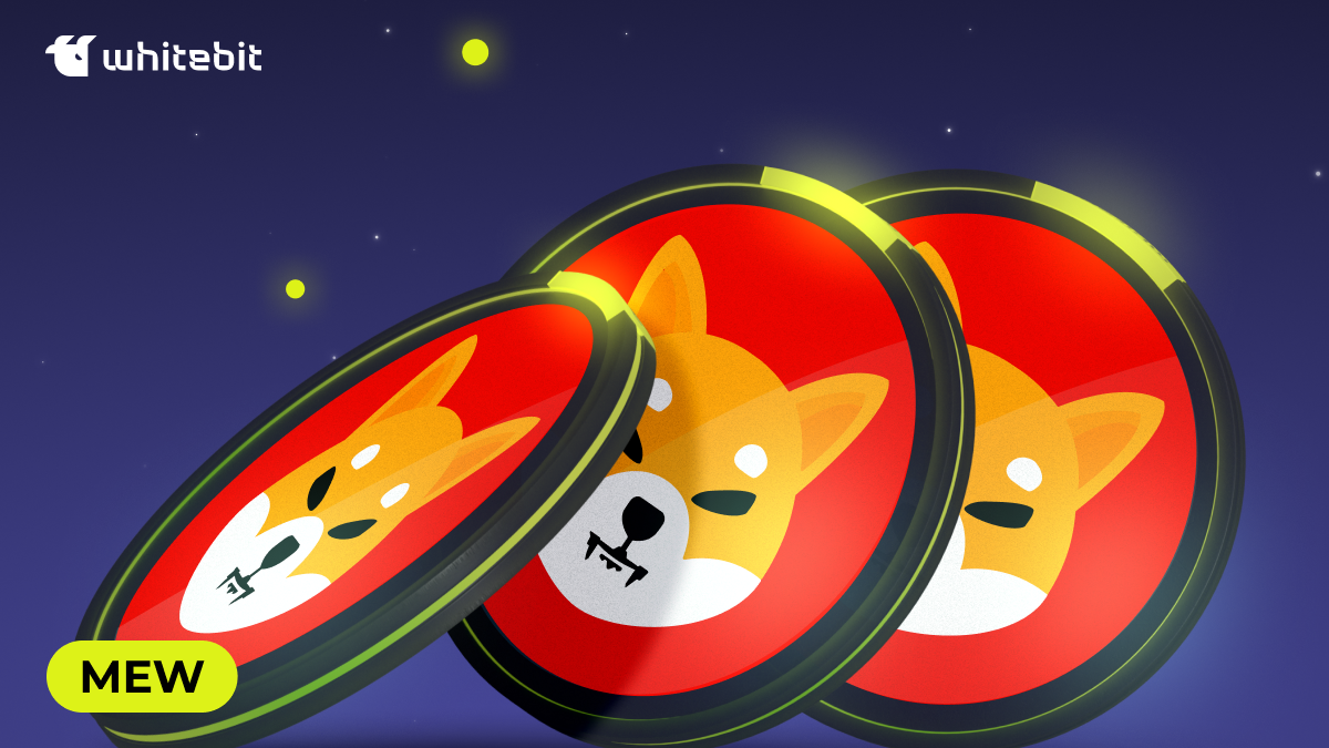 Exploring the MEW Token: A Meme Coin on Solana | WhiteBIT Blog