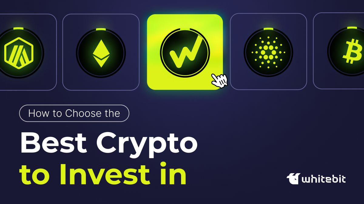 Best Crypto to Buy Right Now: Guide to Choosing an Asset for Investment ...